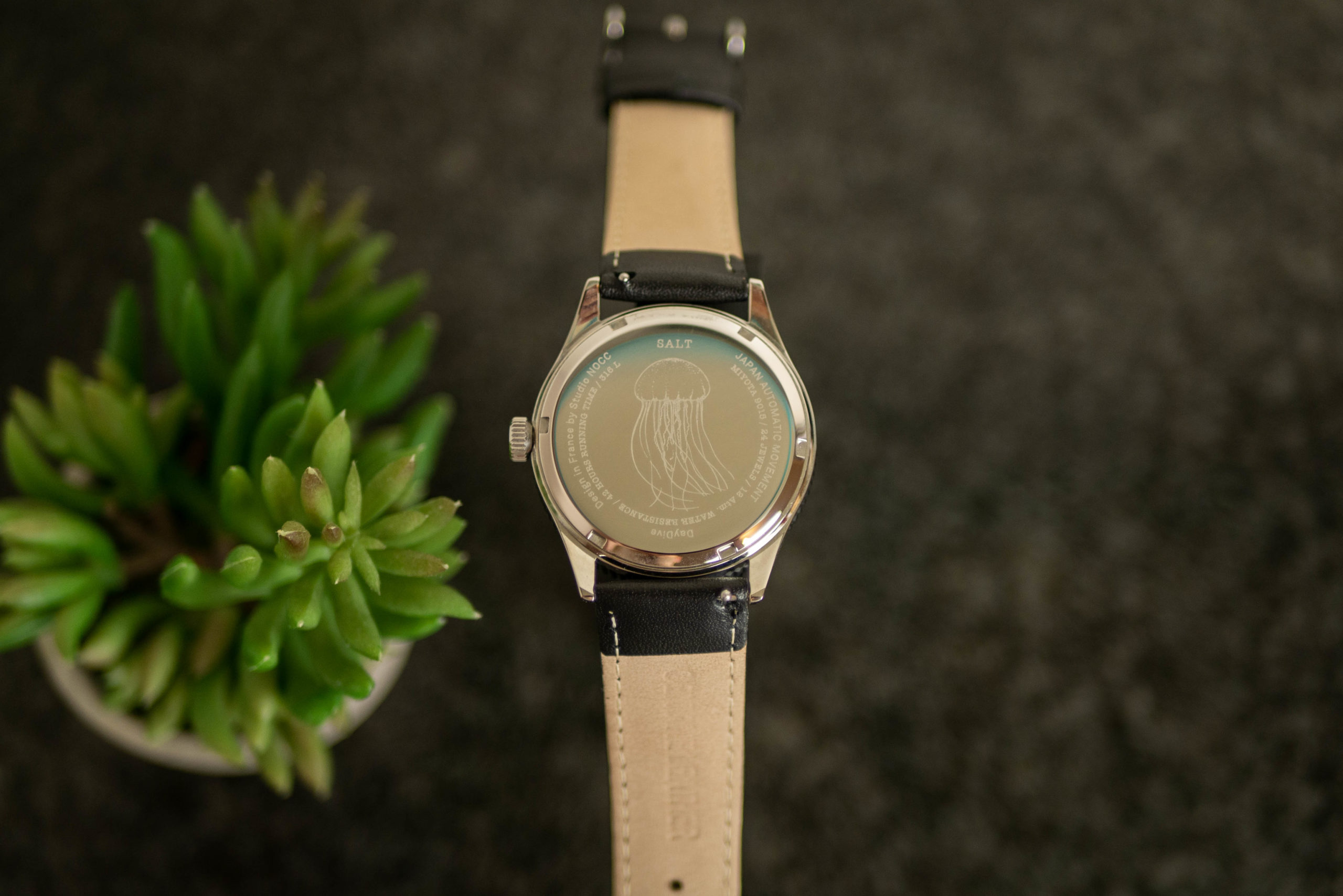 Salt Watches DayDive Automatic - Test et Avis