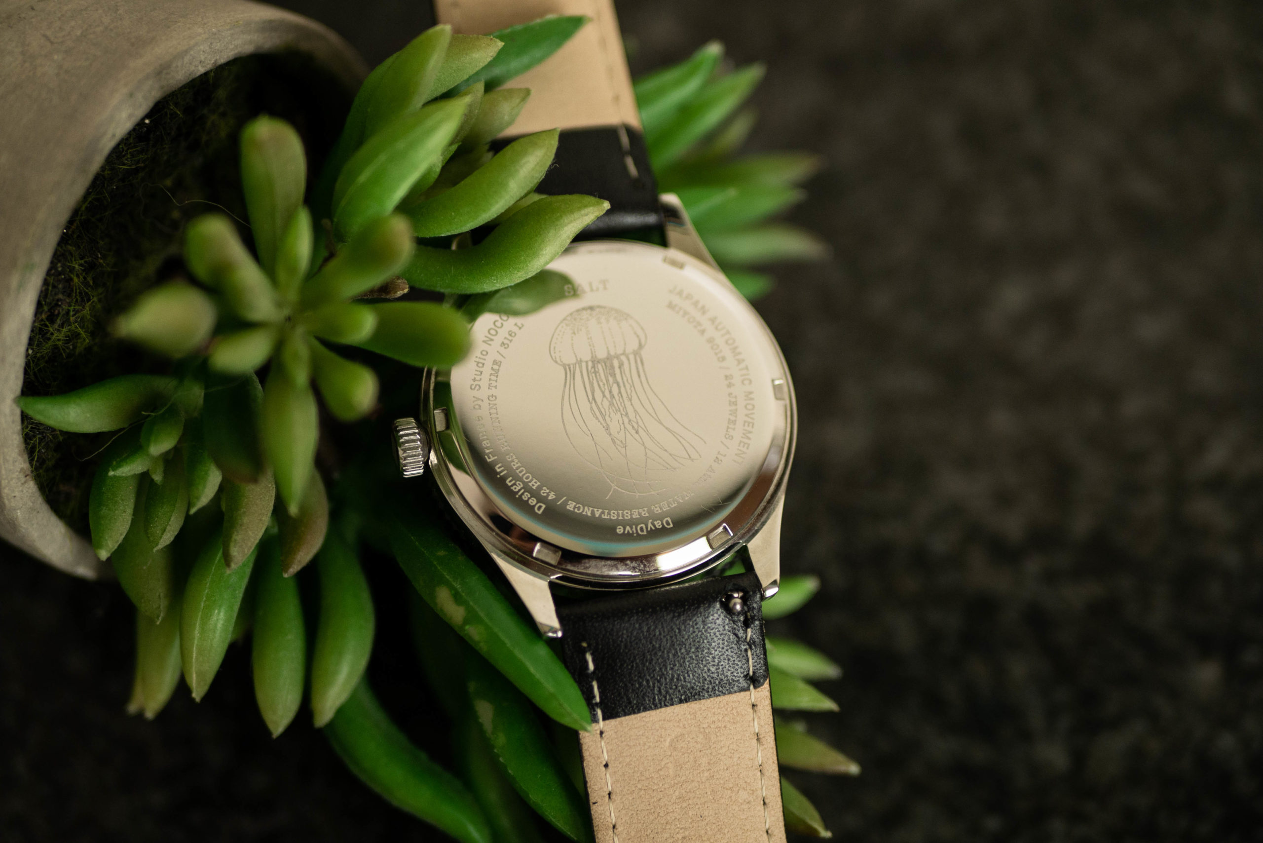 Salt Watches DayDive Automatic - Test et Avis